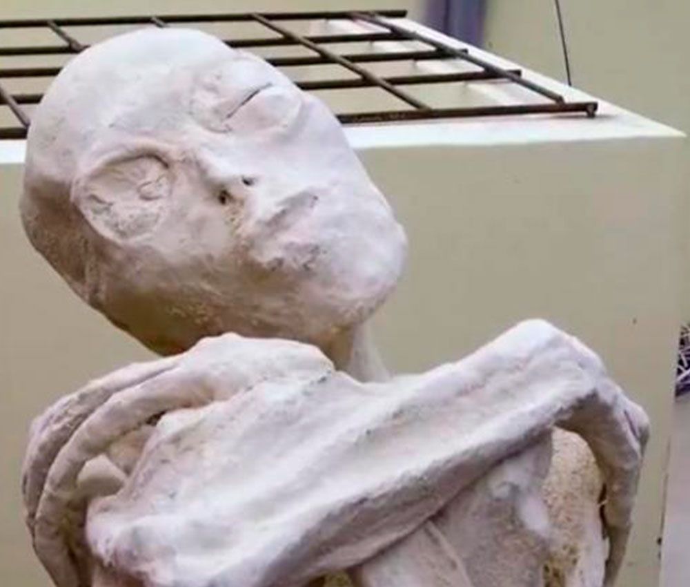 Las momias extraterrestres de Nazca a la luz del laboratorio